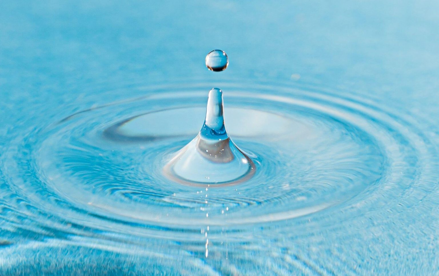 Winter Wellness & The Water Element: A TCM Guide to the Bladder and ...